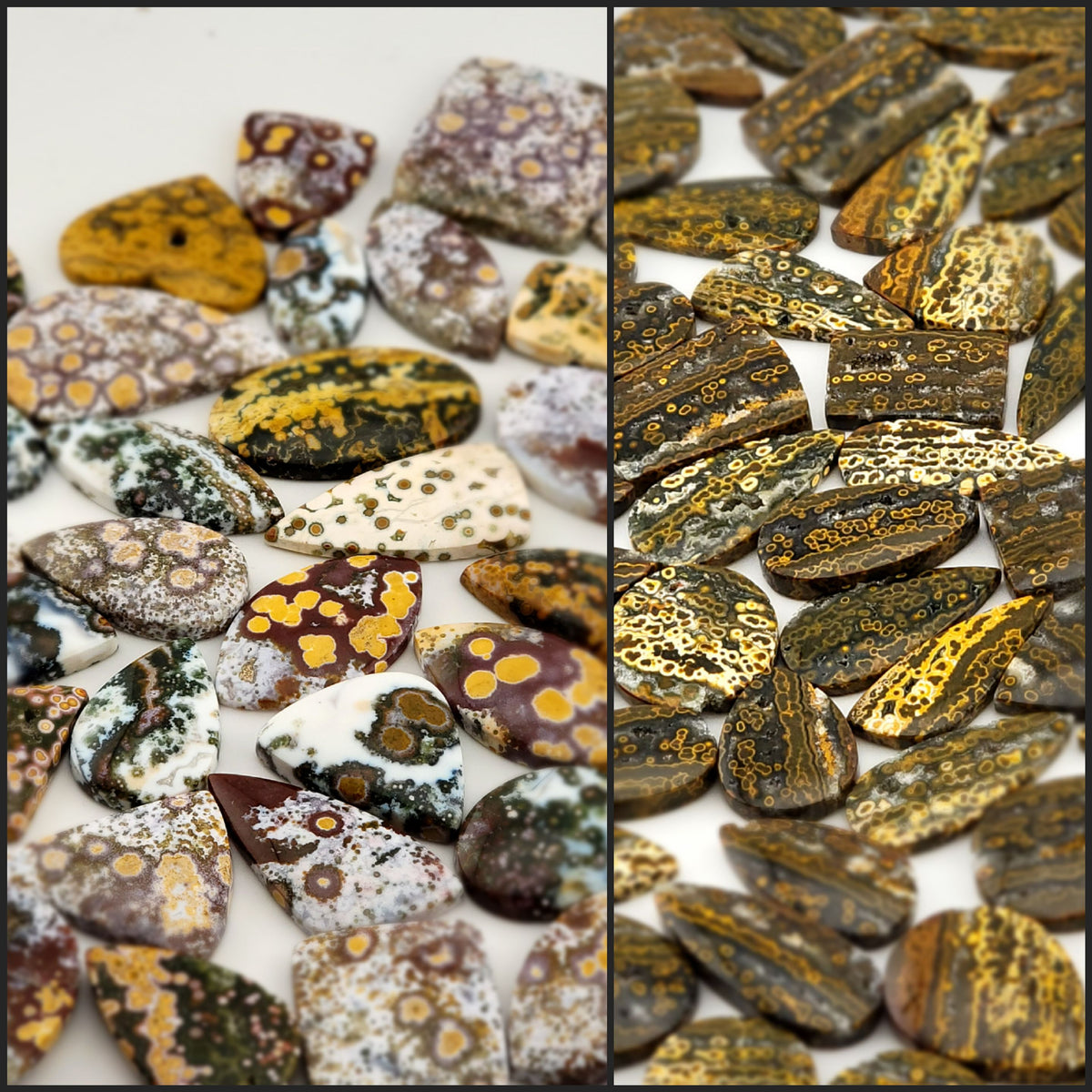 Orbicular Jasper / Ocean & River Jasper — CASDANS