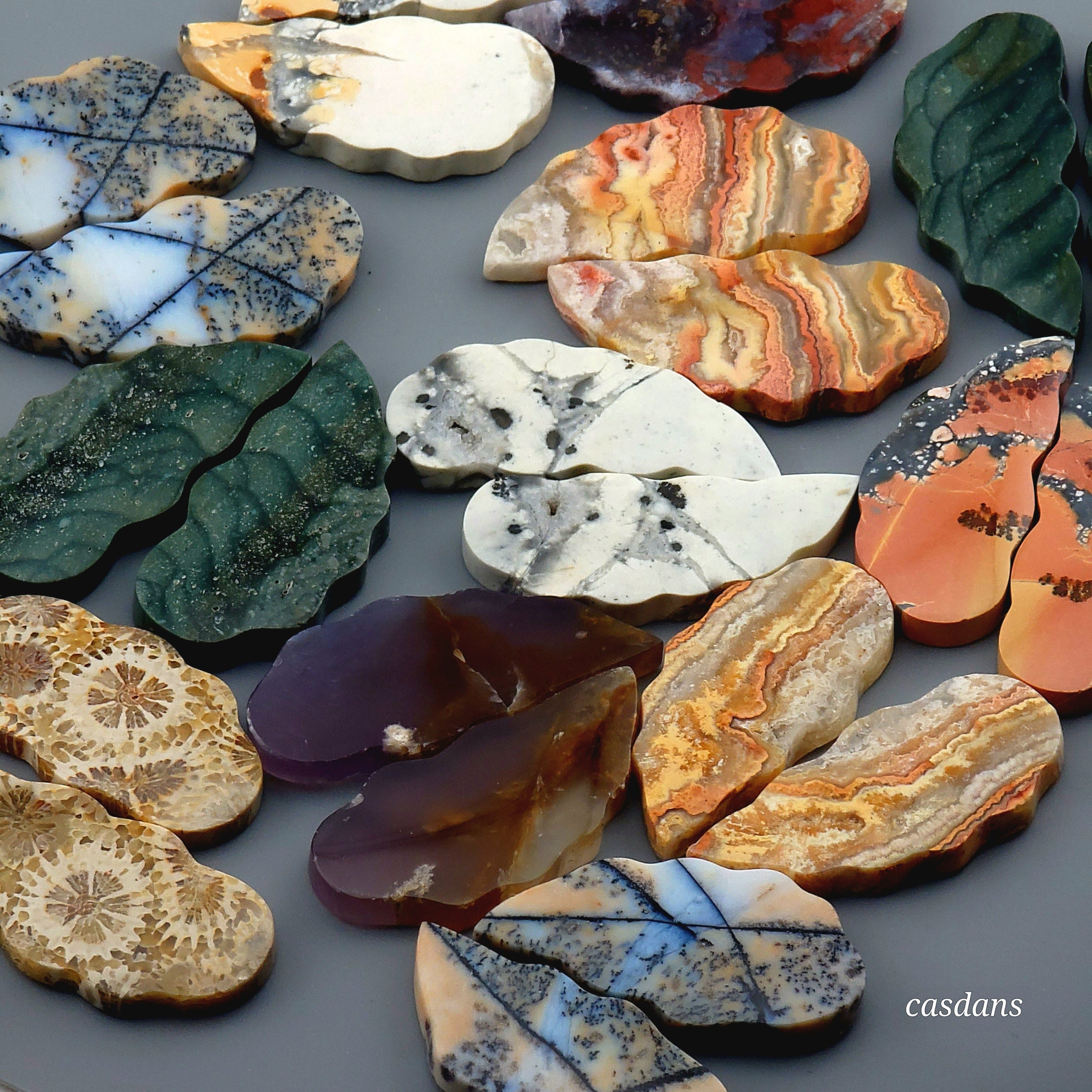 Specialty Shapes — CASDANS