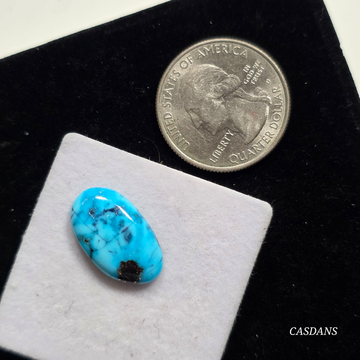 Kingman Black Web Turquoise — CASDANS